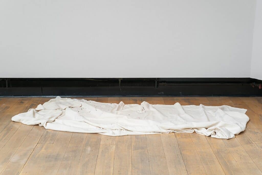 Susan Collis: Without You The World Goes On | Des Moines Art Center