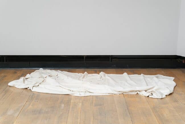 Susan Collis: Without You The World Goes On | Des Moines Art Center