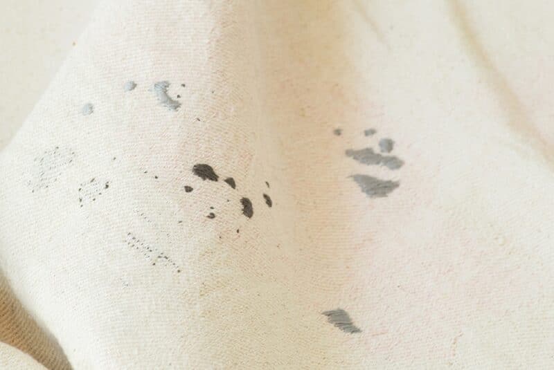 Susan Collis: Without You The World Goes On | Des Moines Art Center