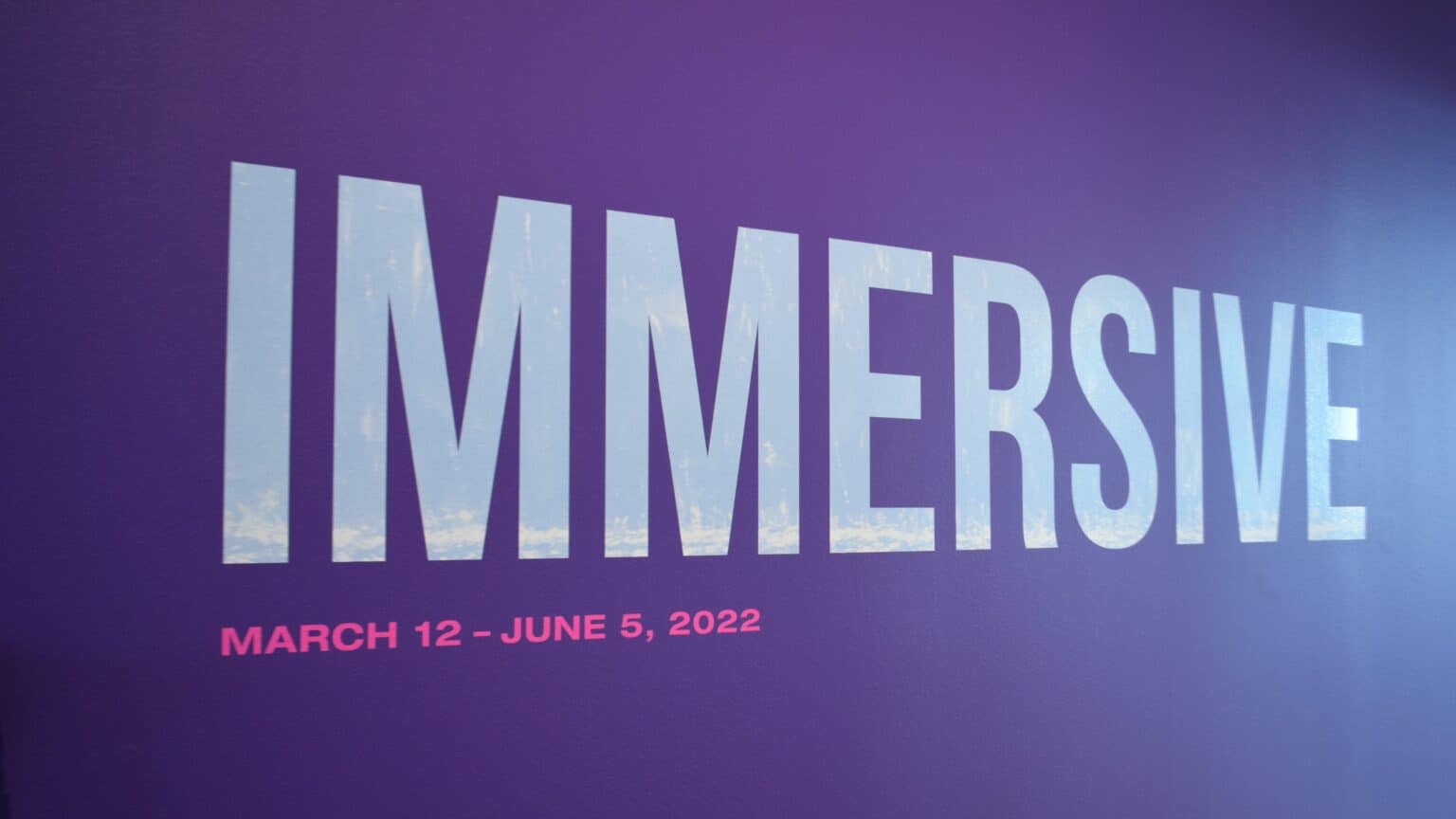 Immersive | Des Moines Art Center