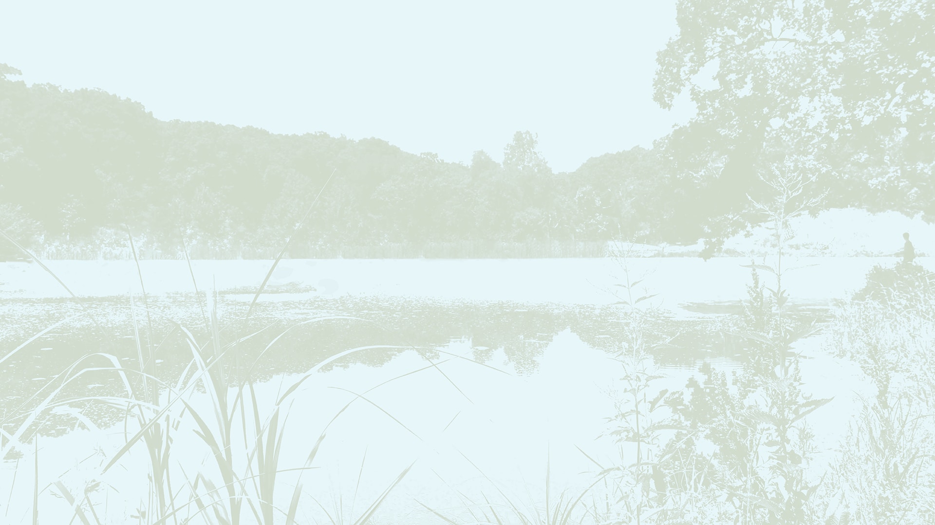 Artist Mary Miss and Des Moines Art Center Reach Settlement over ...